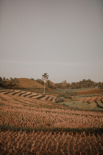 Simple Filipino Life Engagement | Philippines Wedding Blog