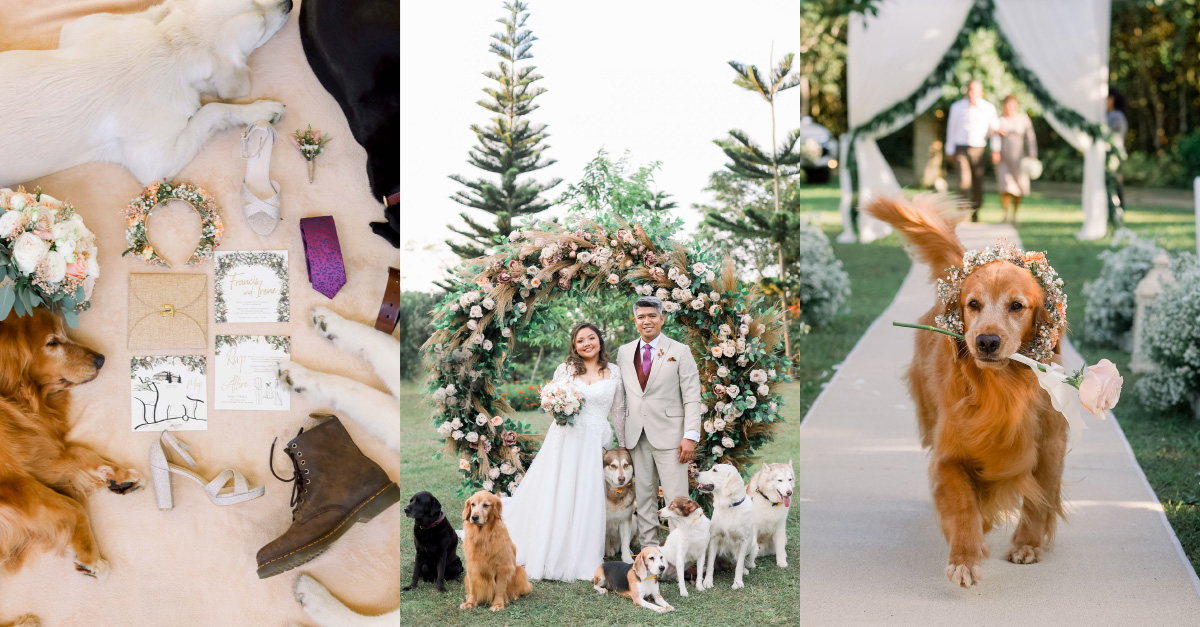 Dogs Part of Entourage | Philippines Wedding Blog