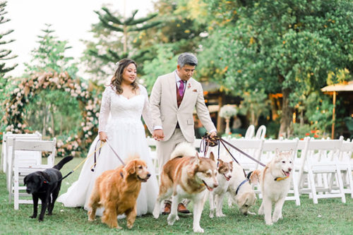 Dogs Part of Entourage | Philippines Wedding Blog