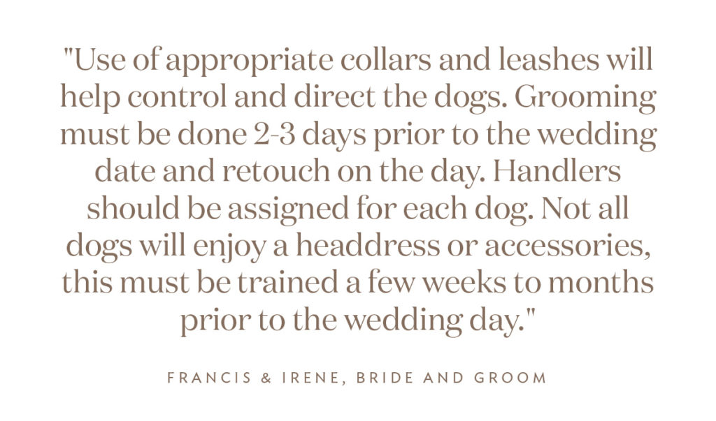Dogs Part of Entourage | Philippines Wedding Blog